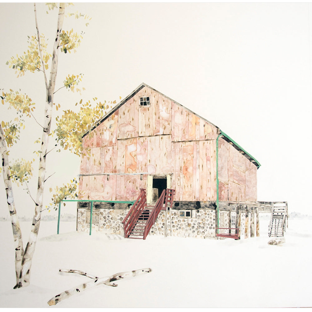 OPEN//WILD by Kate Evans – Kobi & Teal