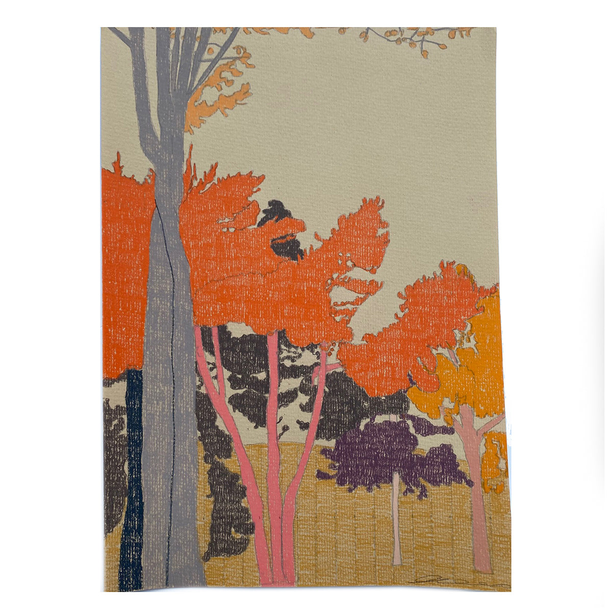 Small Tree Study | Clare Halifax | Kobi & Teal