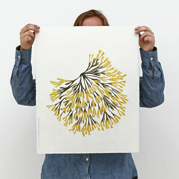 Channel Wrack x Superfolk I Kobi & Teal