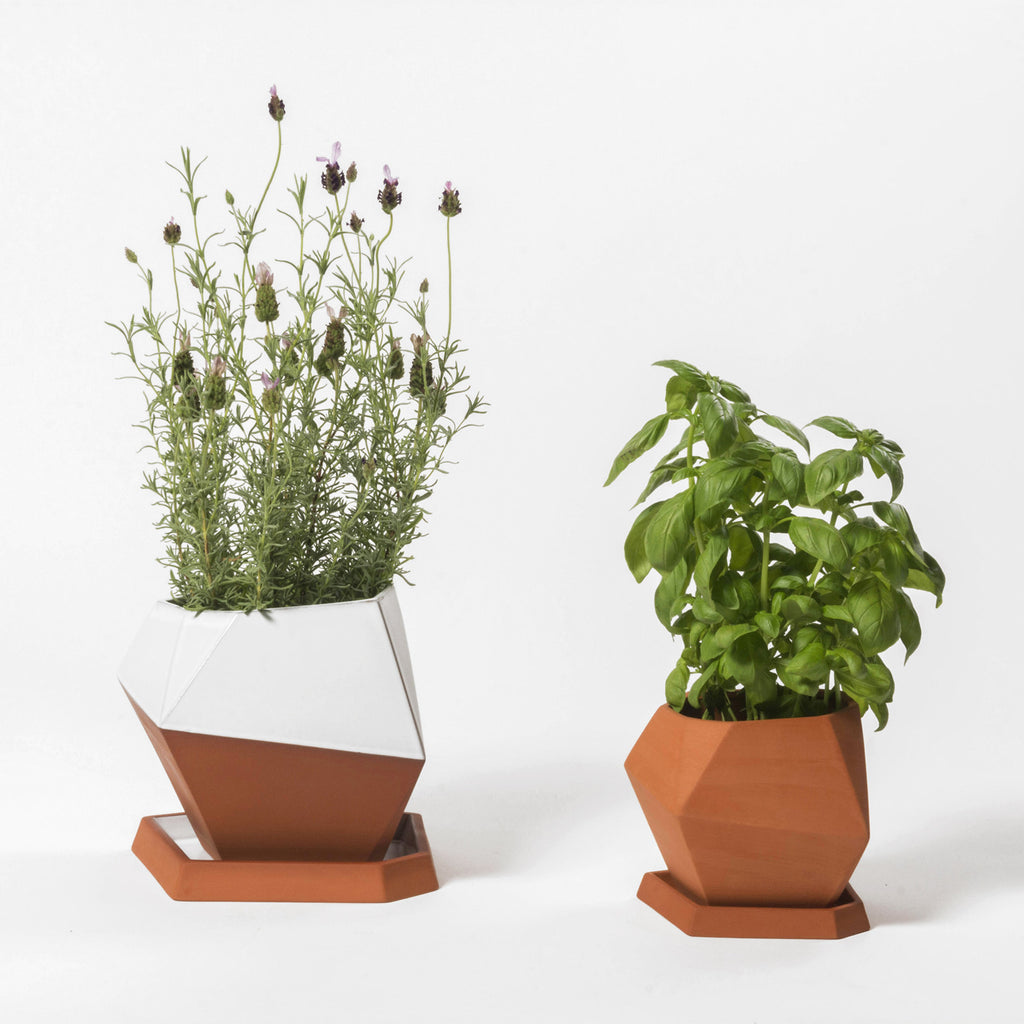 Geometric Large Pot x Nick Fraser I Kobi & Teal